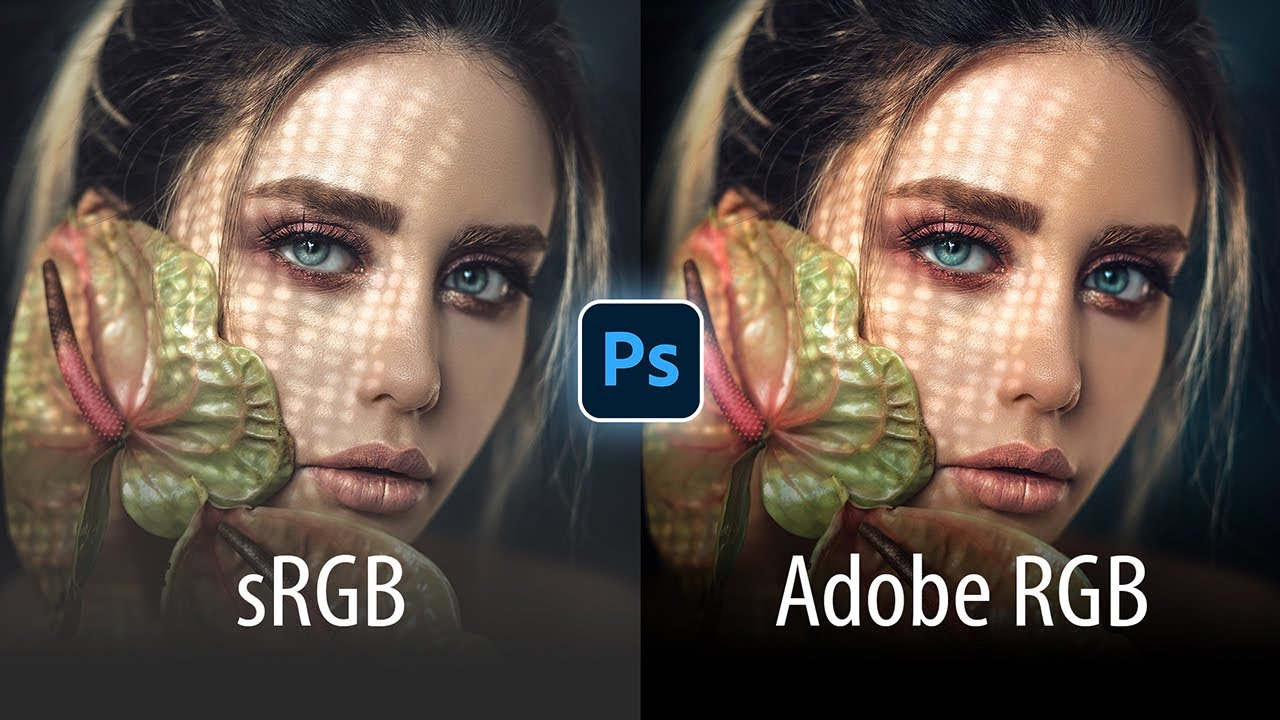 Color Matters: sRGB, Adobe RGB, and CMYK Explained